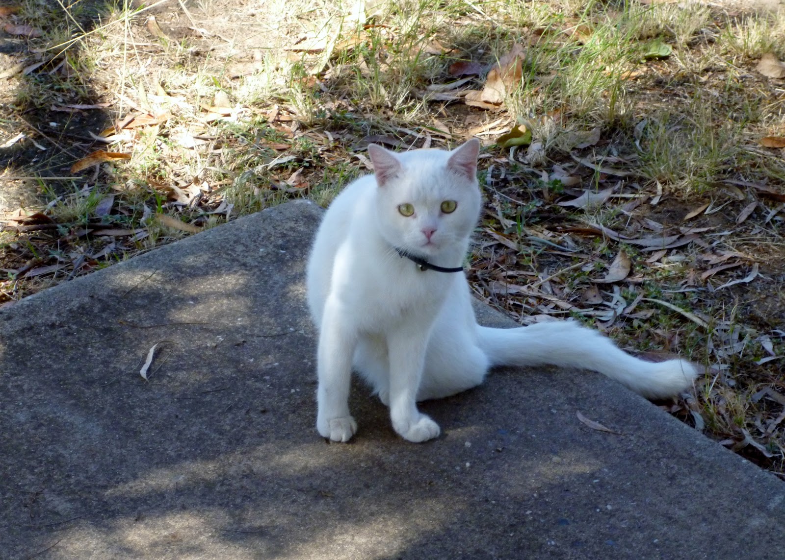 Val and Chris on tour: There's more to Mungindi than meets the eye