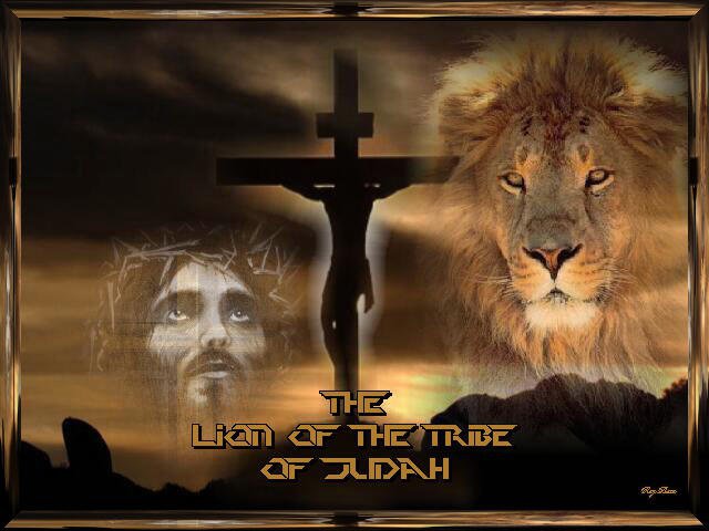 Love For His People: Lion of Judah - A Beautiful Collection of Artwork