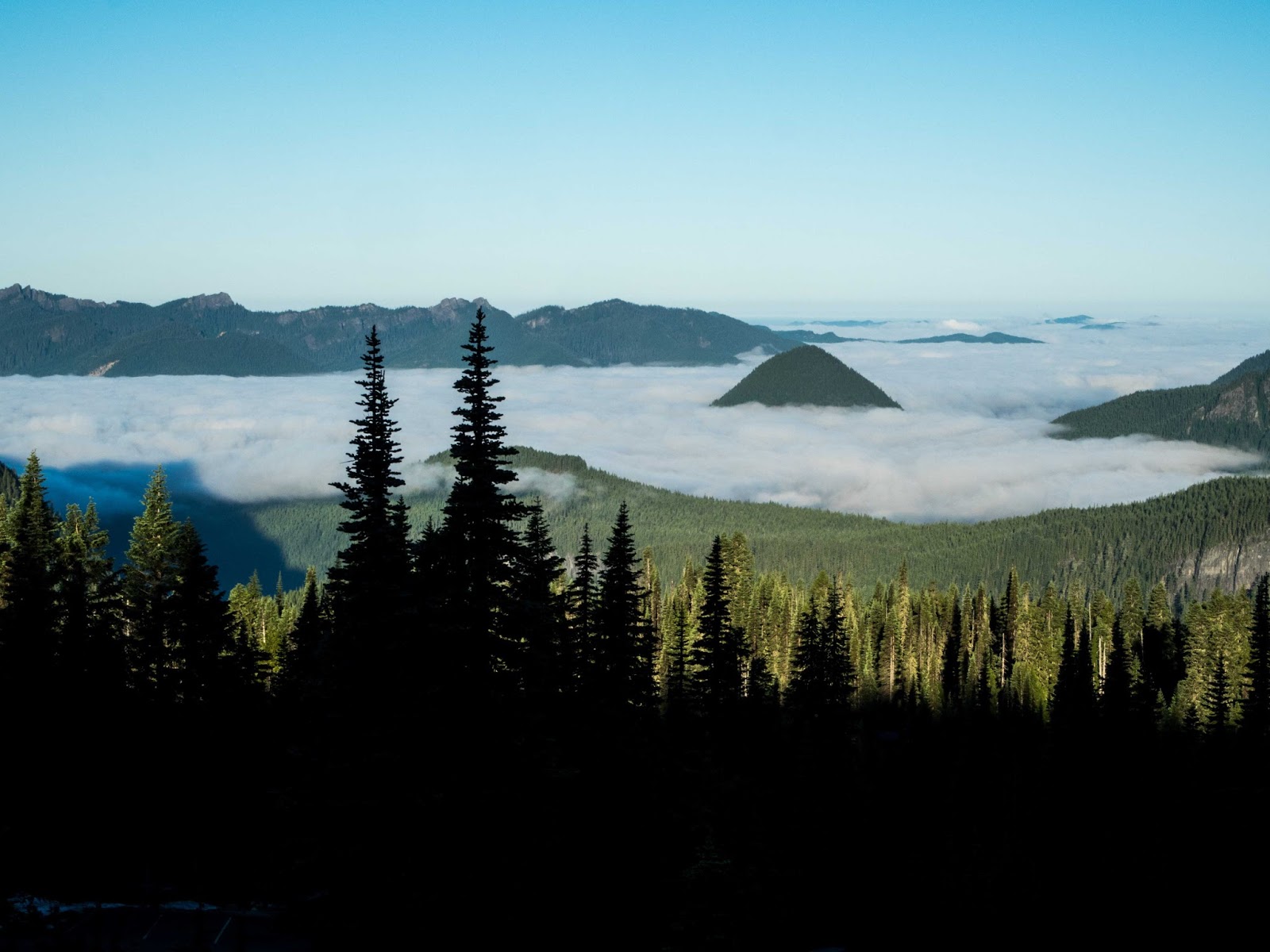 Mount Rainier Climbing