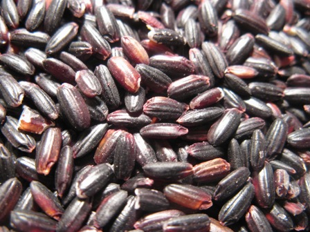 A Tavola con Mammazan: Riso Venere e gamberoni...coppia ideale!!!