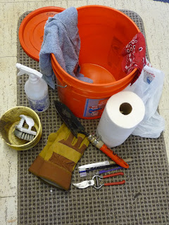 Genealogy and Other Thoughts: Cemetery Cleaning Kit