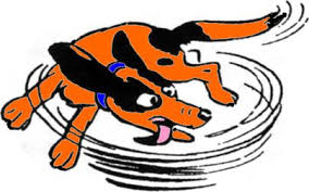 IDIOMS for ESL Students: Chase your tail