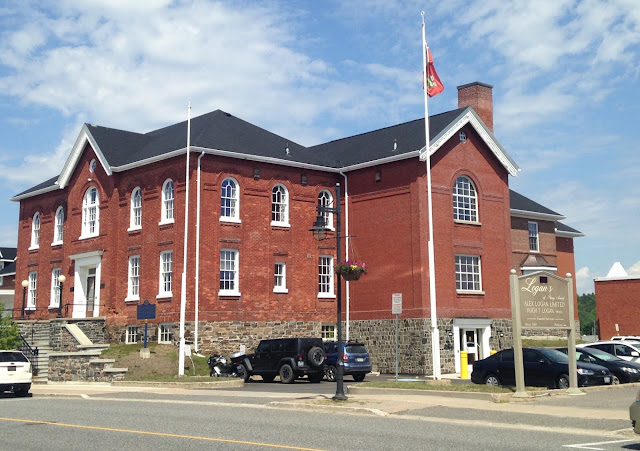 Lily, A Dog's Life Aboard Moondance: 30,000 Rocky, Lovely, Rugged ...
