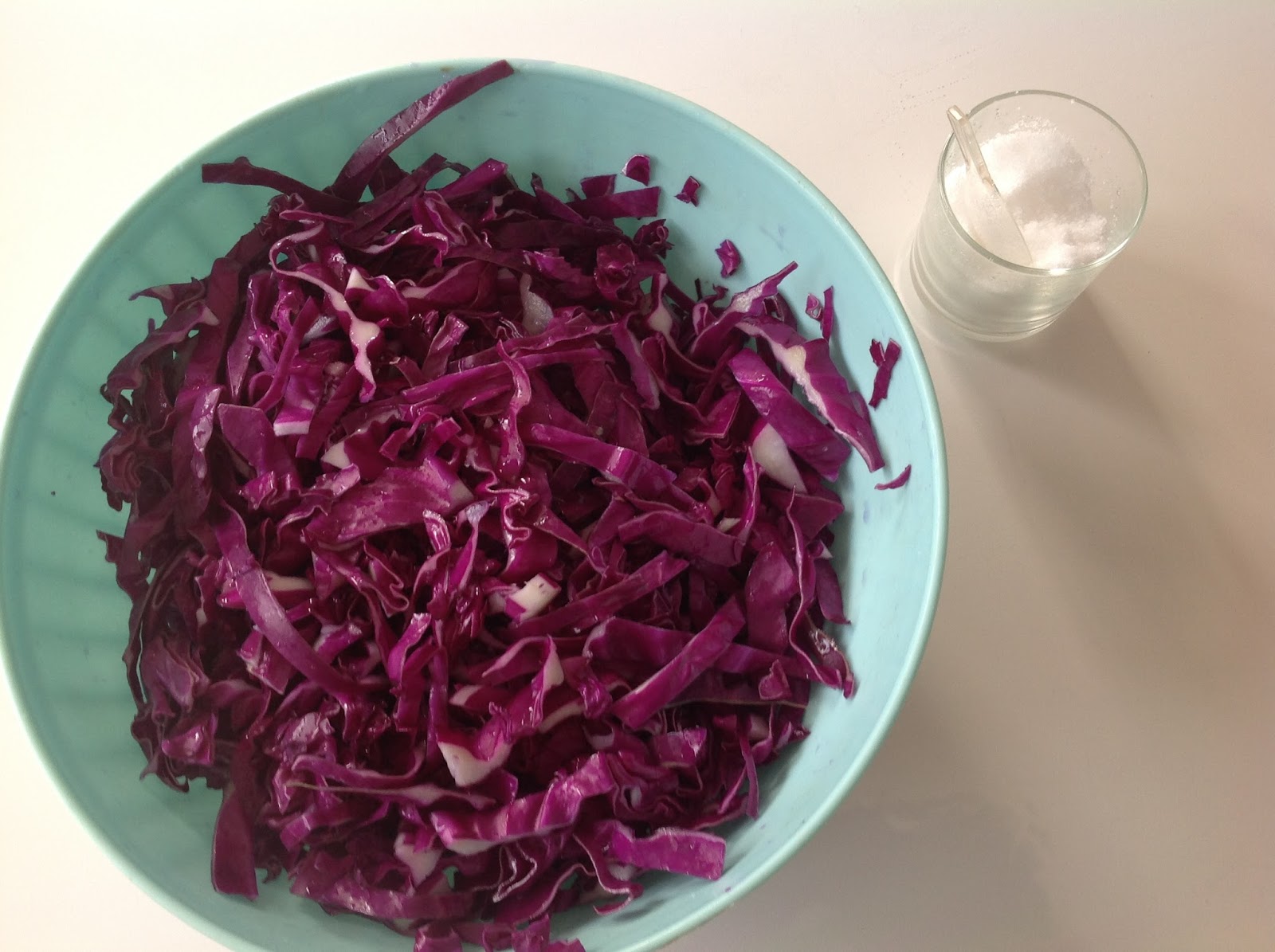 Mediterrània: cuina de sempre: Conserva de col llombarda