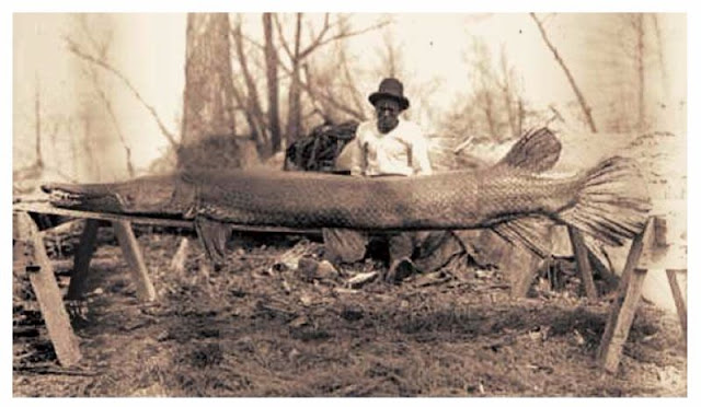 45 Cool Pictures That Show People Posing With Their Big Fishes in the ...