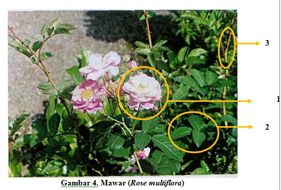 LAPORAN PEMAGANGAN PART 4