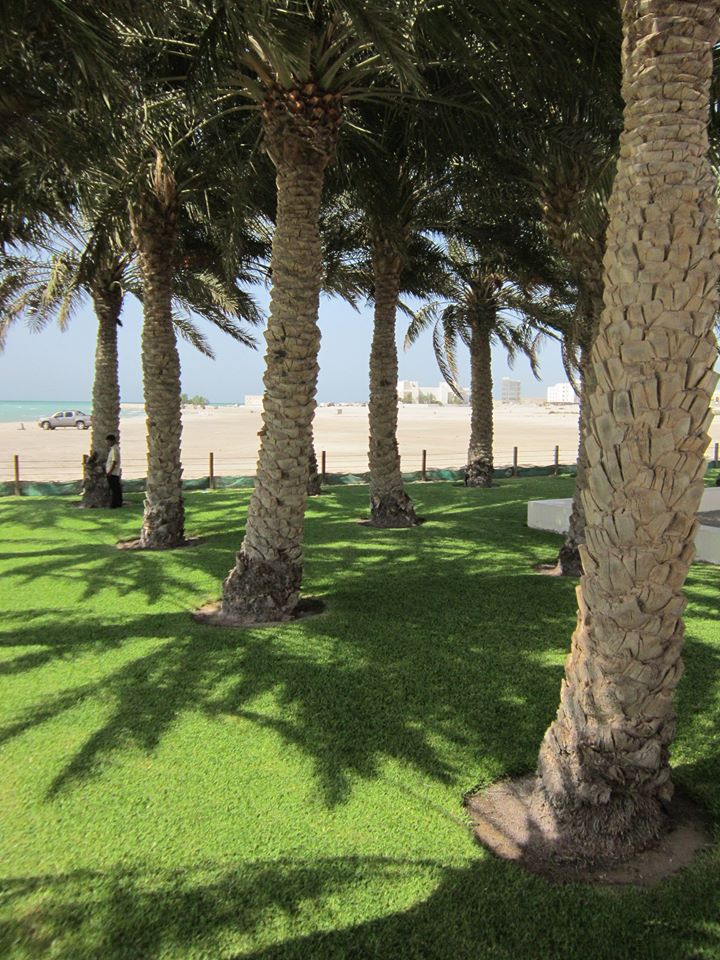 My Graced Journey: Bustling Bahrain