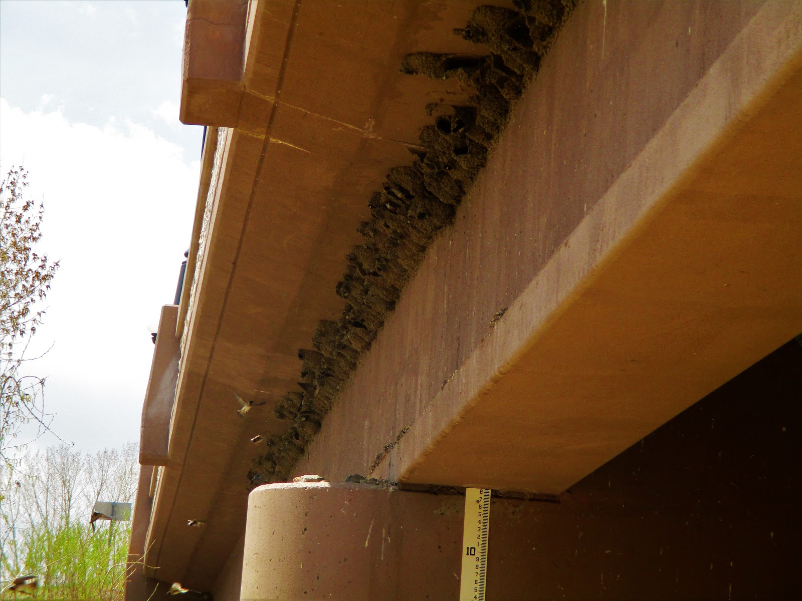 Read All The Things!: Reading And Walking: From The Mixed-Up Files Of ...