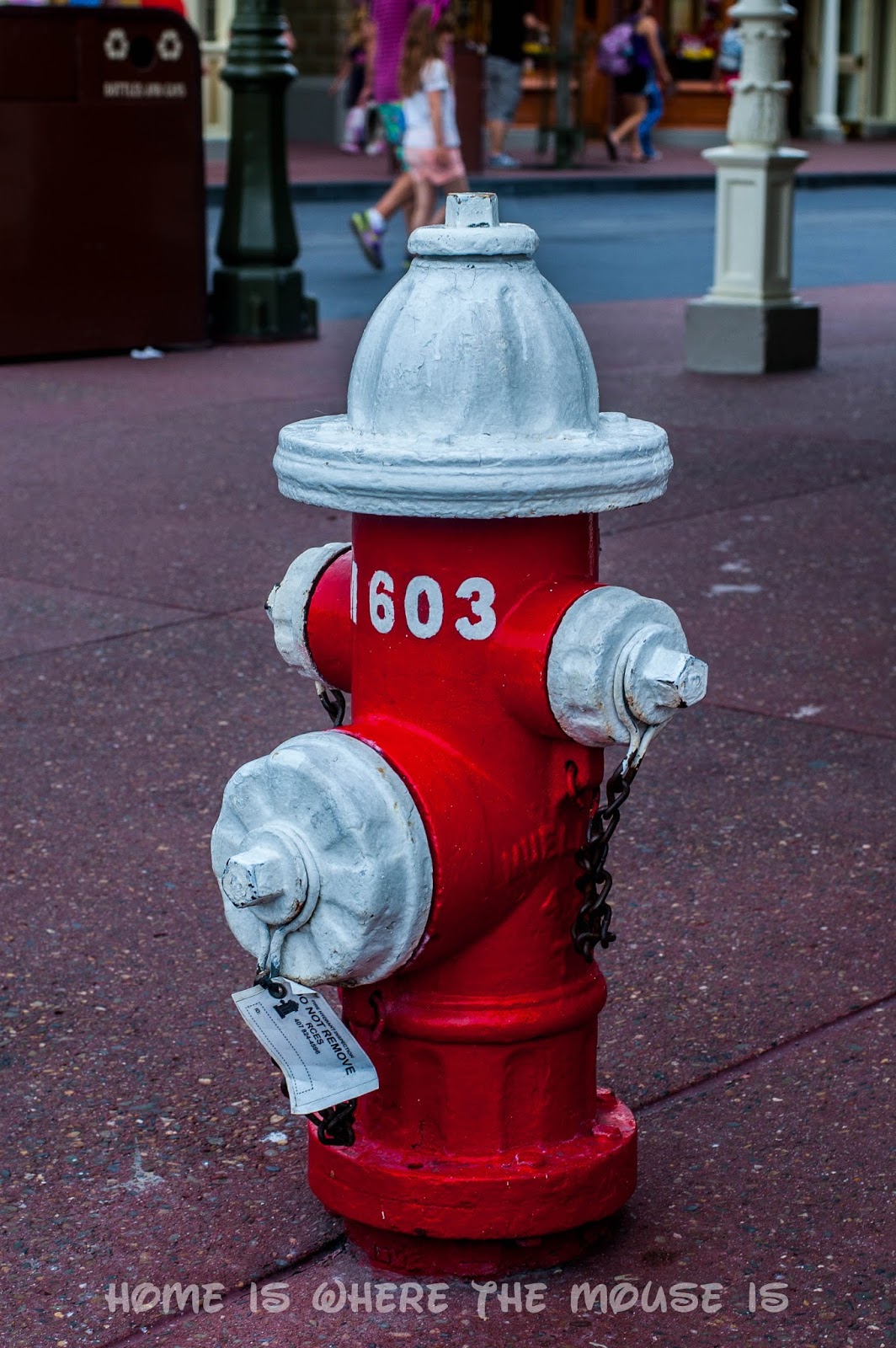 Playing with Fire at Walt Disney World - Adventures in Familyhood