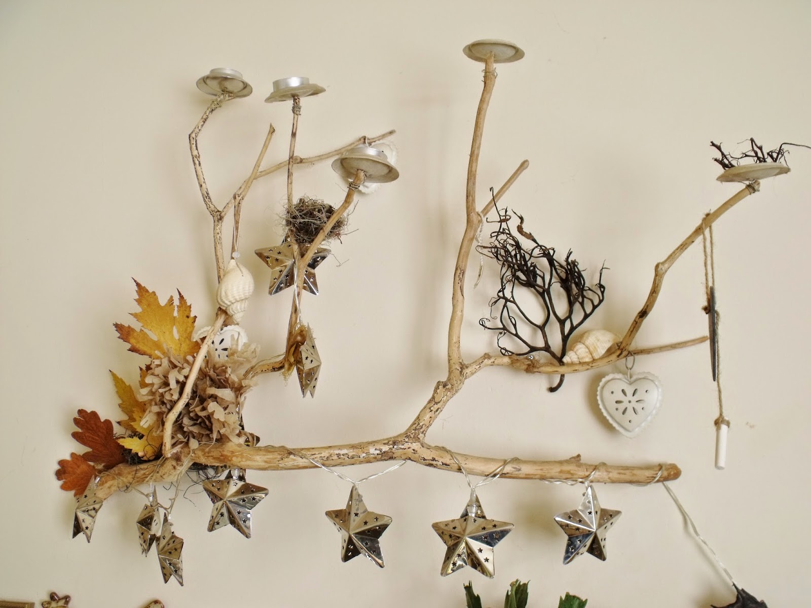 Wild Treasures: 5 Ways To Display Beachcombing Finds