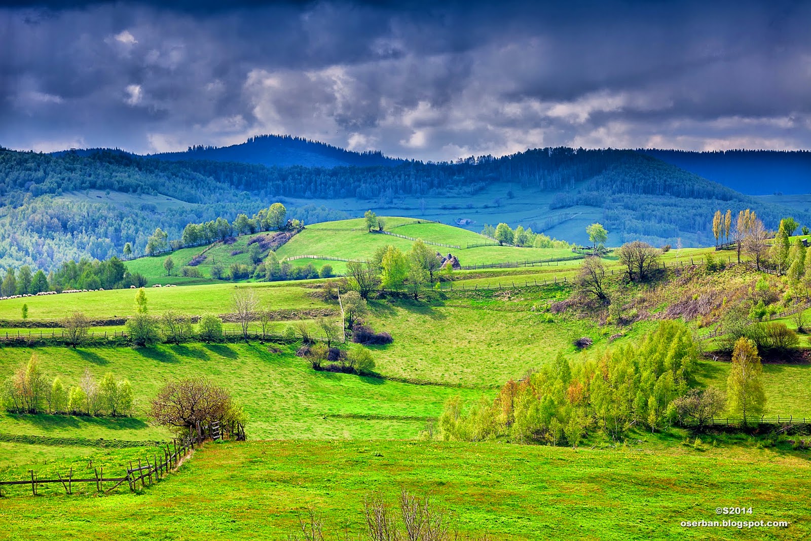 Octavian Serban: Somewhere in Romania...spring time...