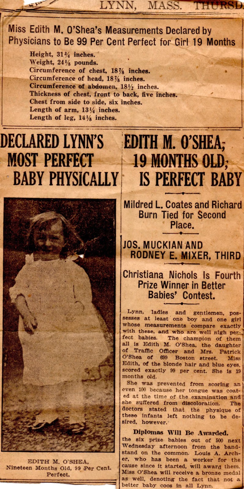 Spotlight on Collections: What can we learn from “Lynn’s Most Perfect ...