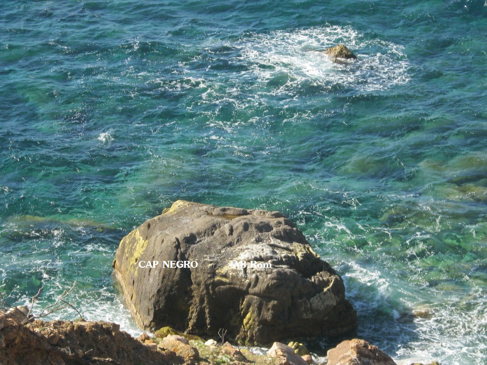 Cap Negro Tunisie 2012 (Nefza Béja ) - CAP-NEGRO-Romdhani.overblog.com