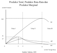 Teori Produksi (Theory of Production)