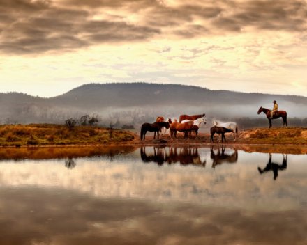 I MIEI SOGNI D'ANARCHIA - Calabria Anarchica: Kenneth McLeod Duncan ...