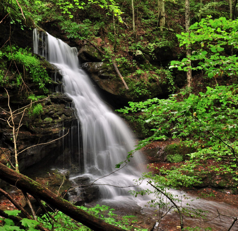 Discover West Virginia: Hiking the Waterfalls of Big Branch