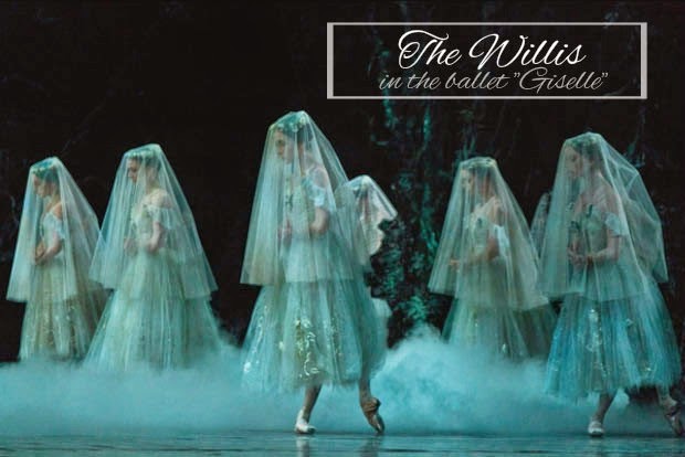 BALLET: What are The Willis in the ballet Giselle? | GAi - Giovani ...