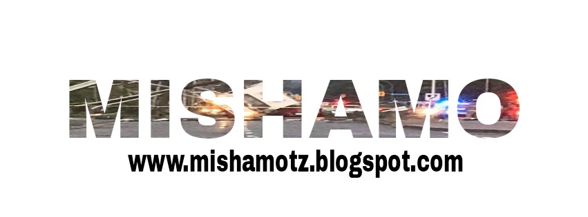 MAPISHI YA PILAU YA NYAMA YA NG'OMBE NA KACHUMBALI - Mishamo