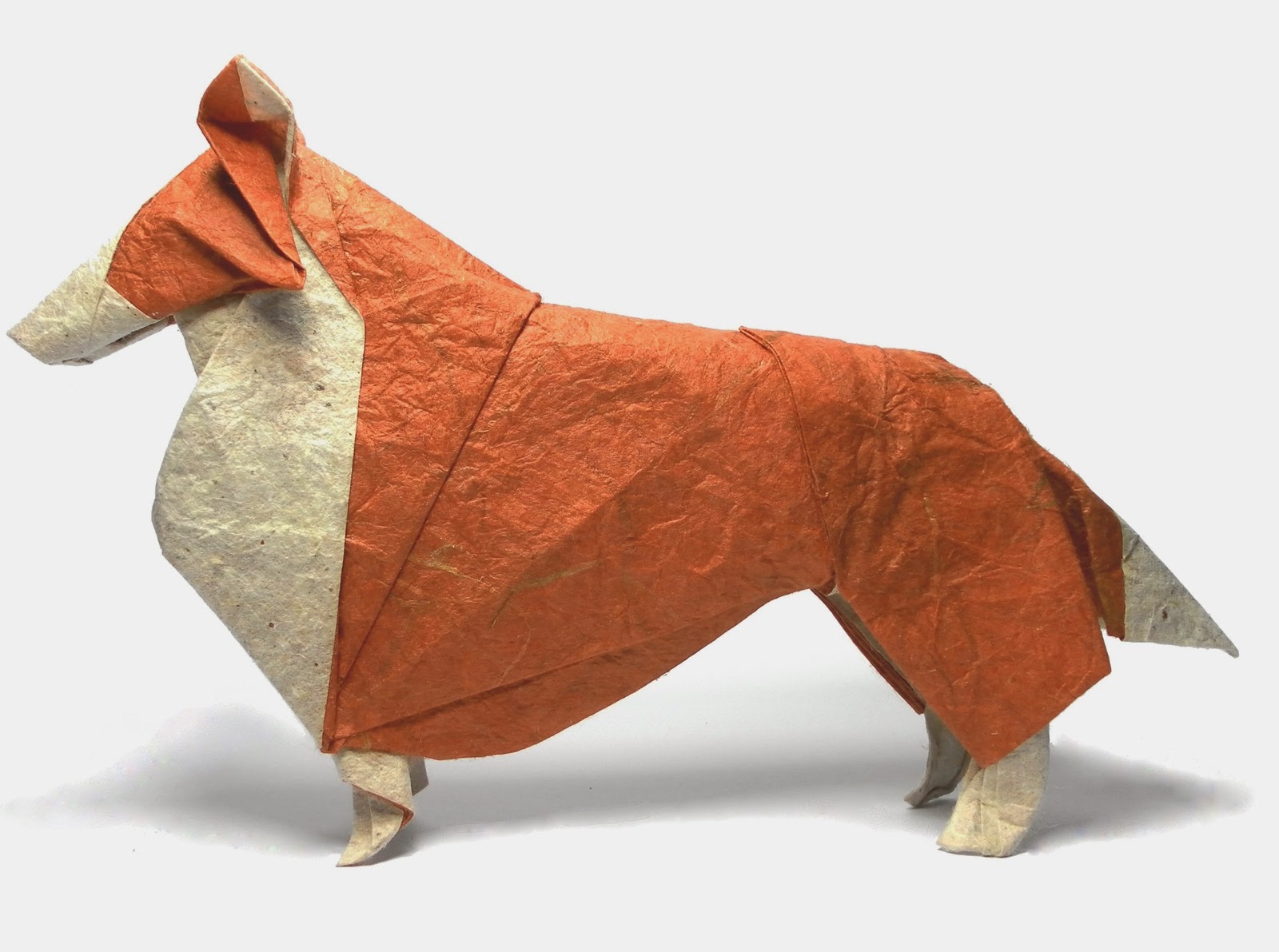 Mariano-Mi mundo el Origami: Collie