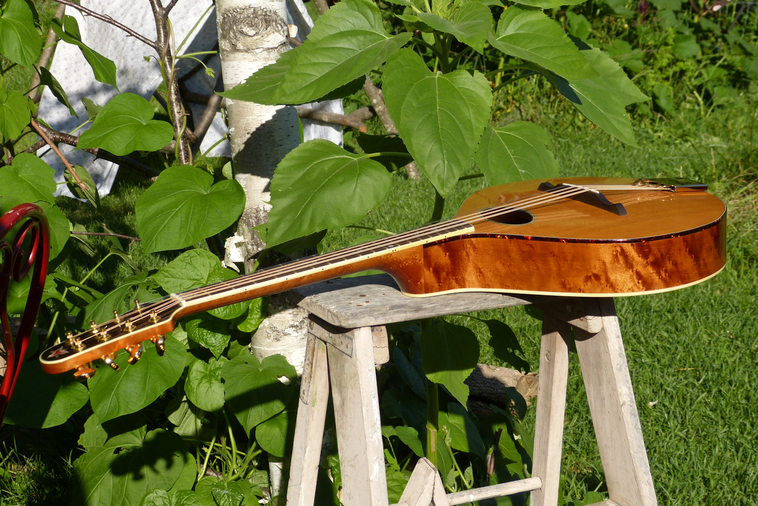 2000 Trillium Octave Mandolin