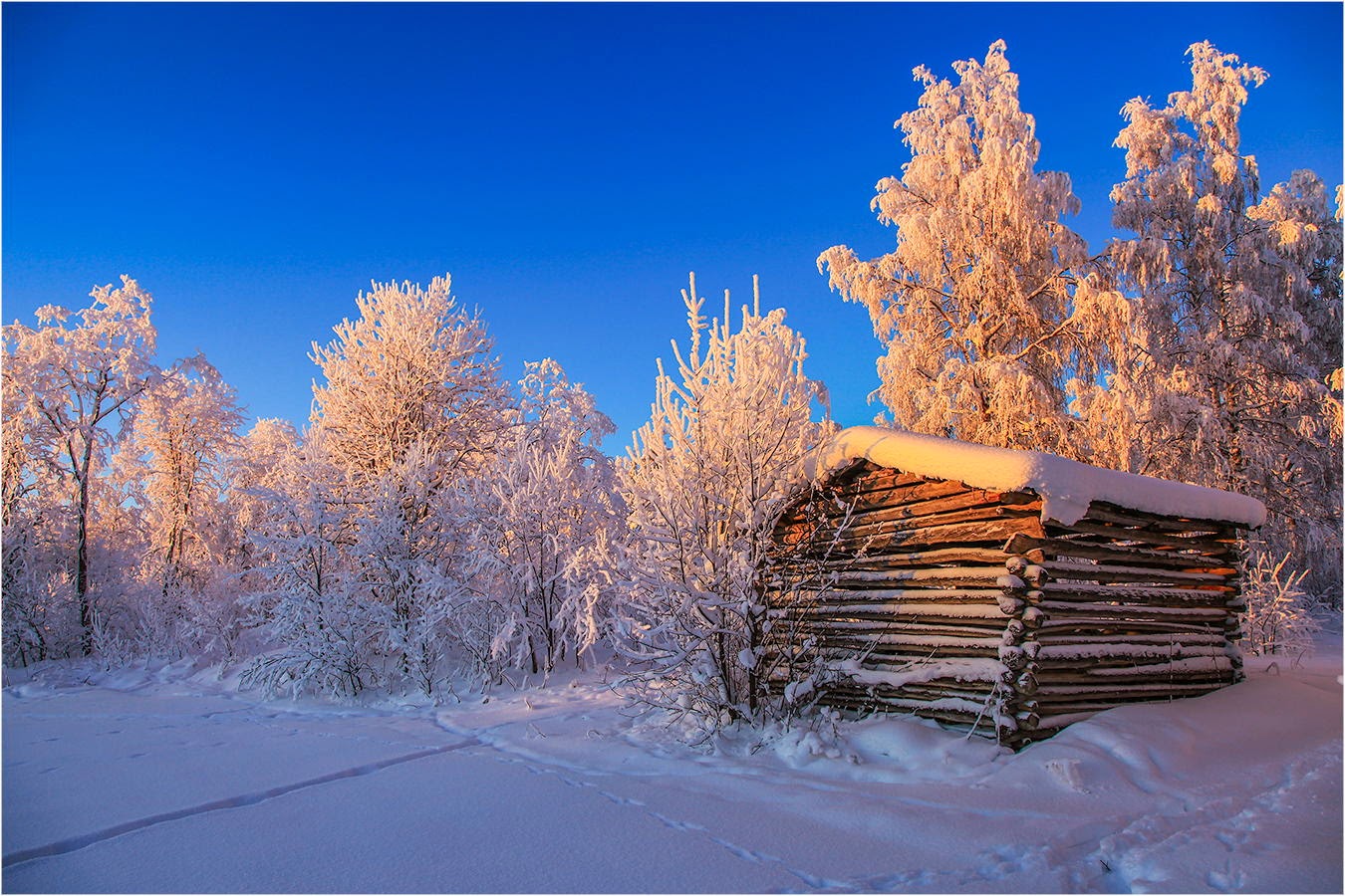 Valtteri Mulkahainen - igra svetlucavih perli ~ F I N S K A