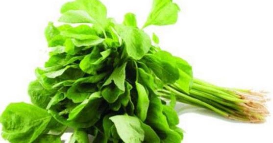 blade: Cara Menanam Bayam dan Manfaatnya untuk Kesehatan Tubuh