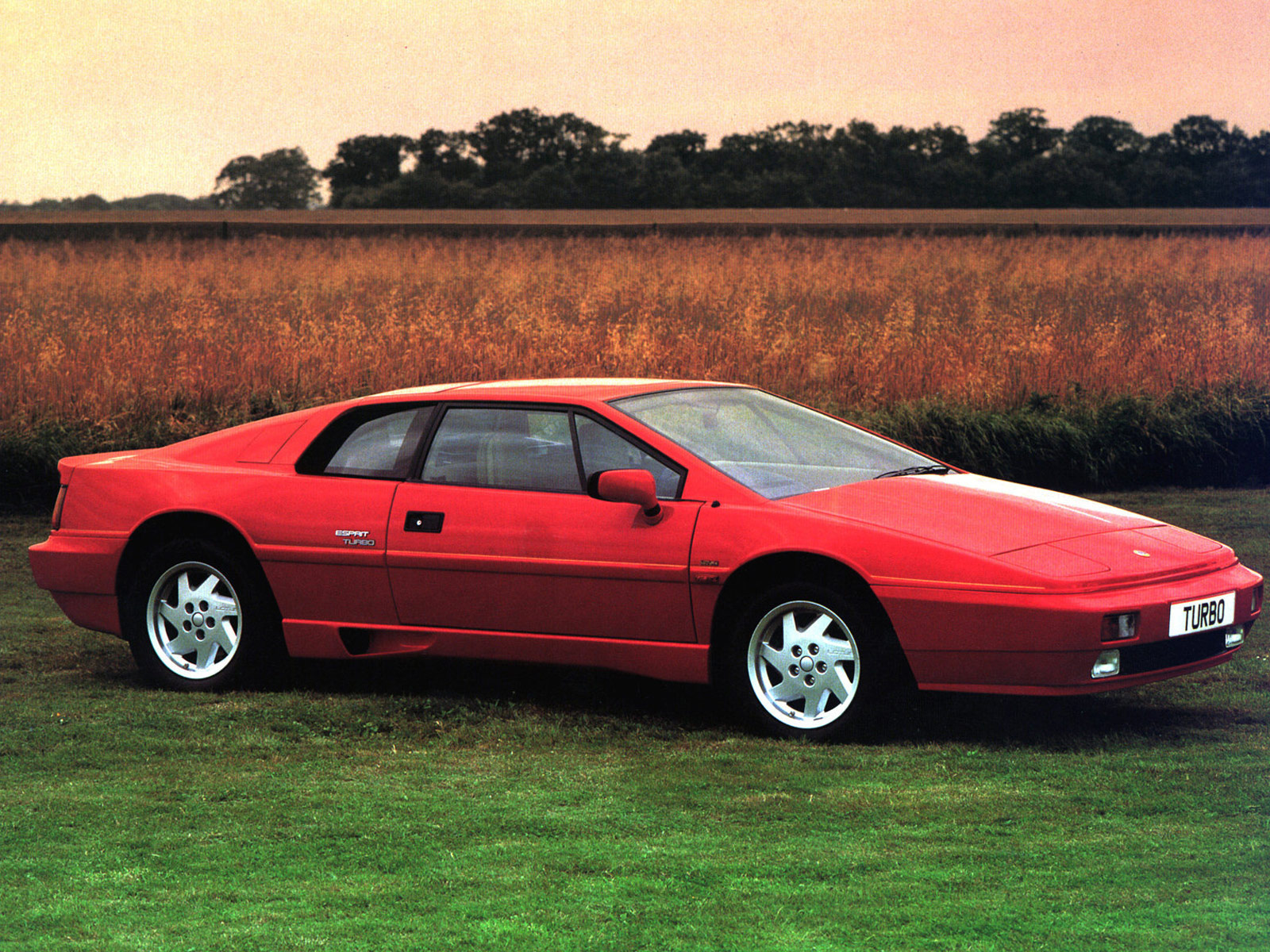 1980 LOTUS Esprit Turbo car picture