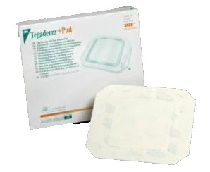 The Tiger Medical Blog: Road Rash