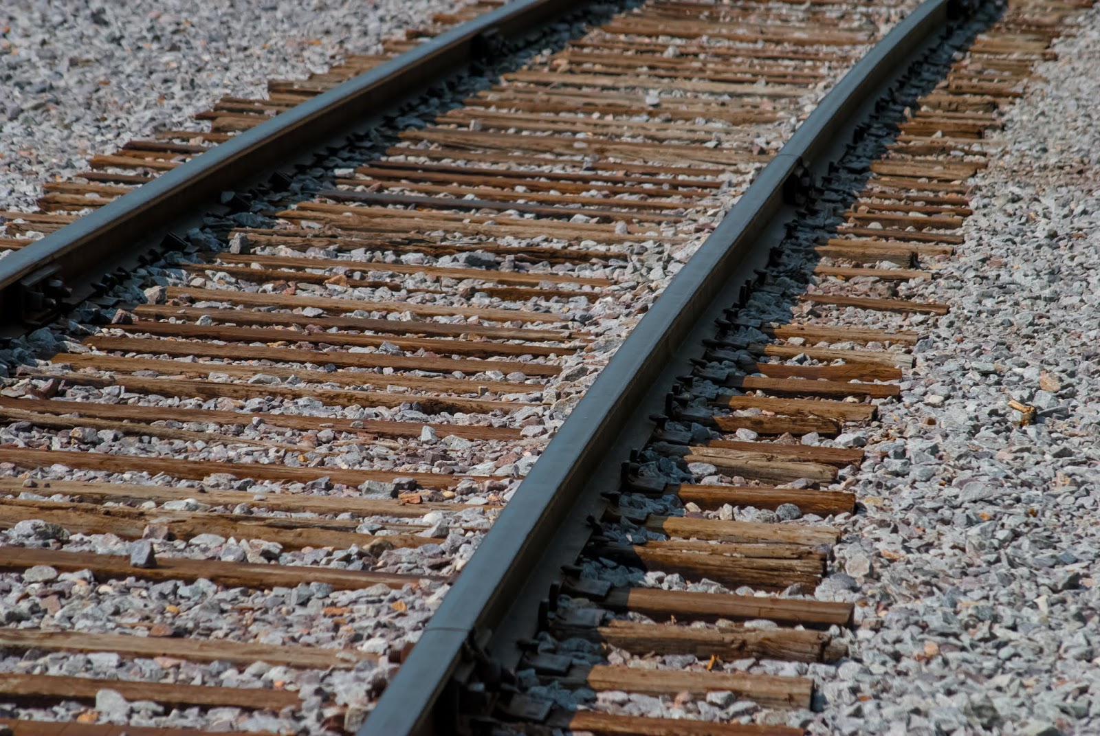 Lake Railroad Tracks