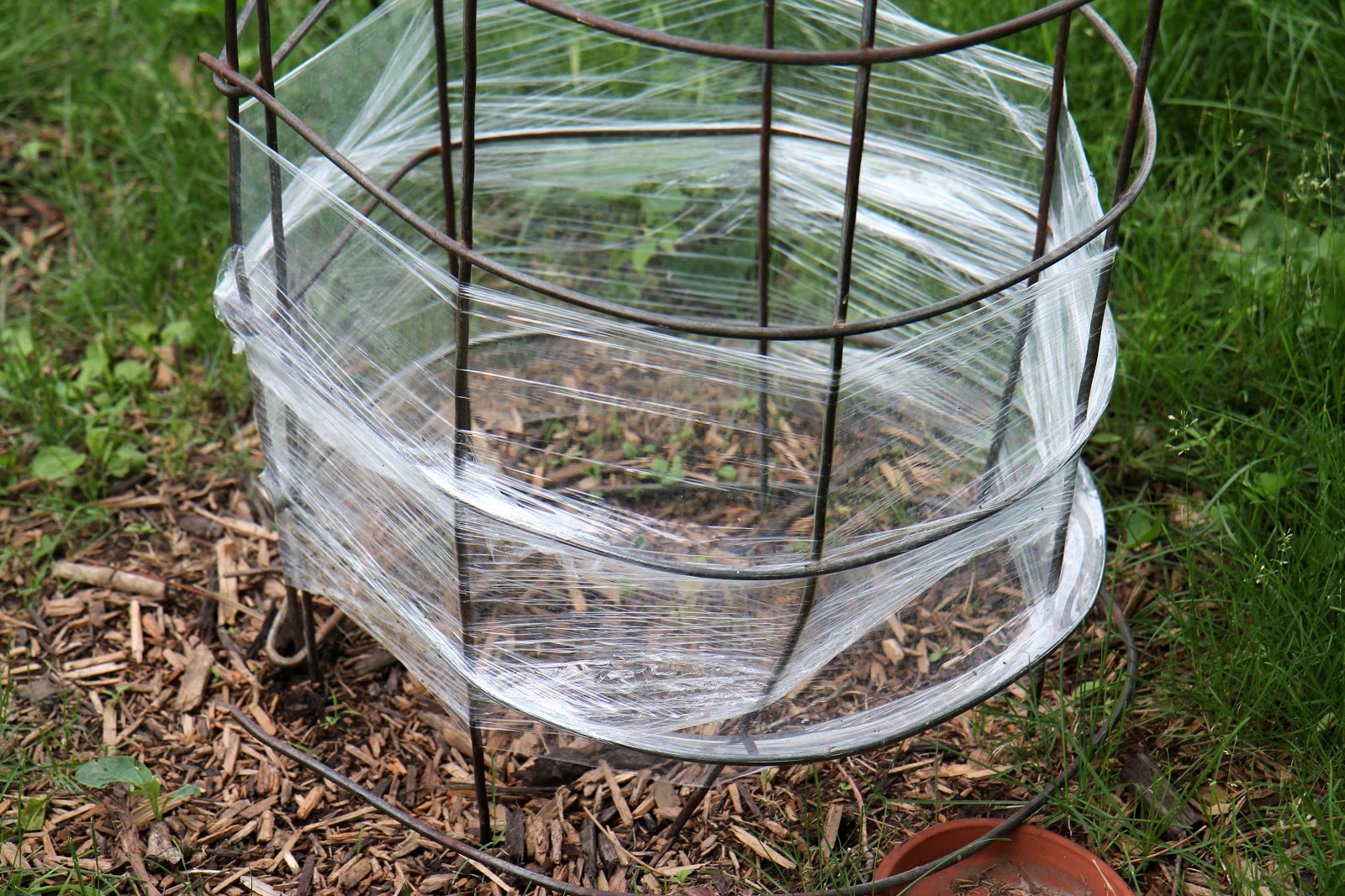 Helpful Garden Hack: Wrapping Cages in Plastic Wrap