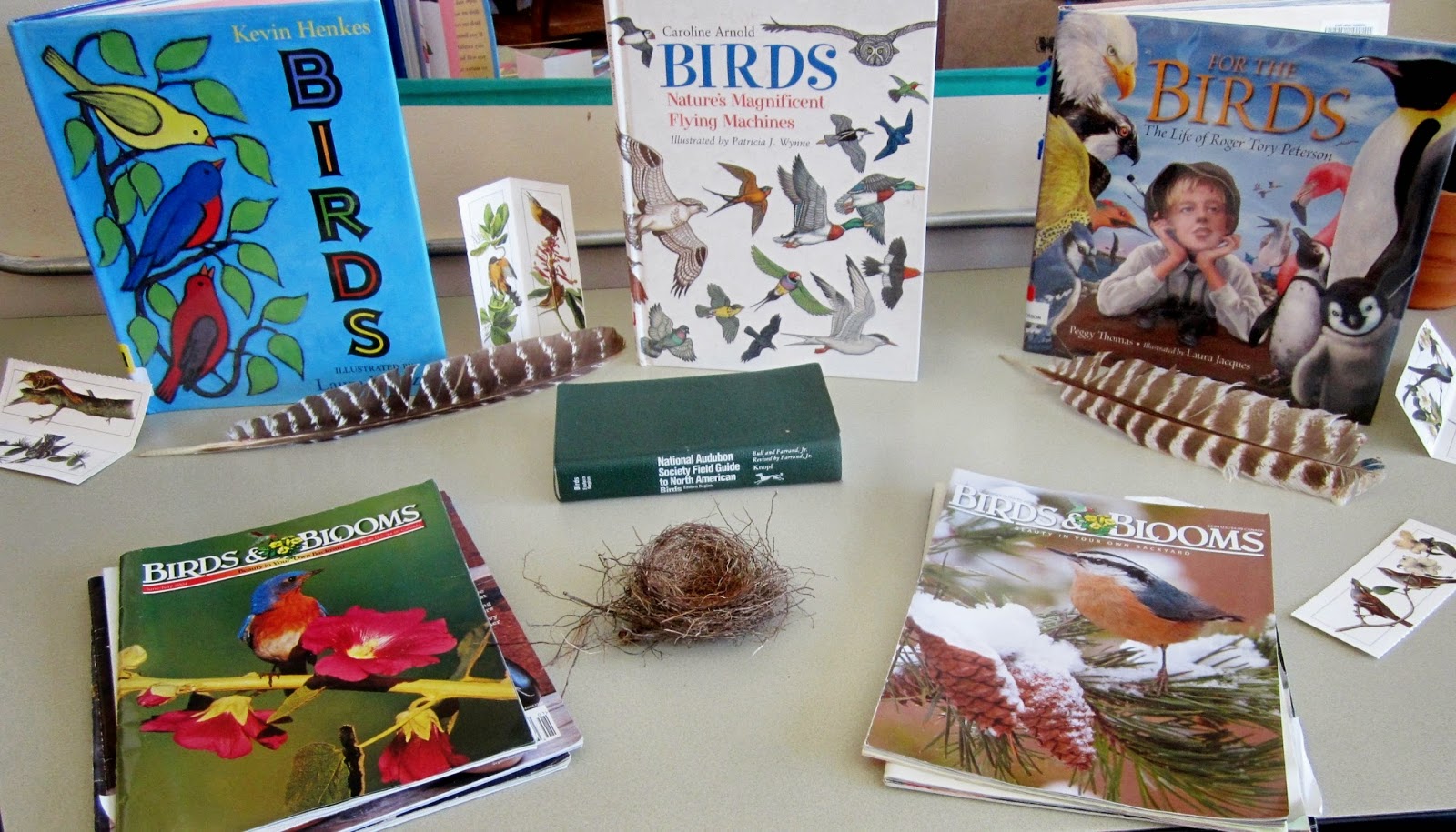 art and soul preschool: Birds of a Feather