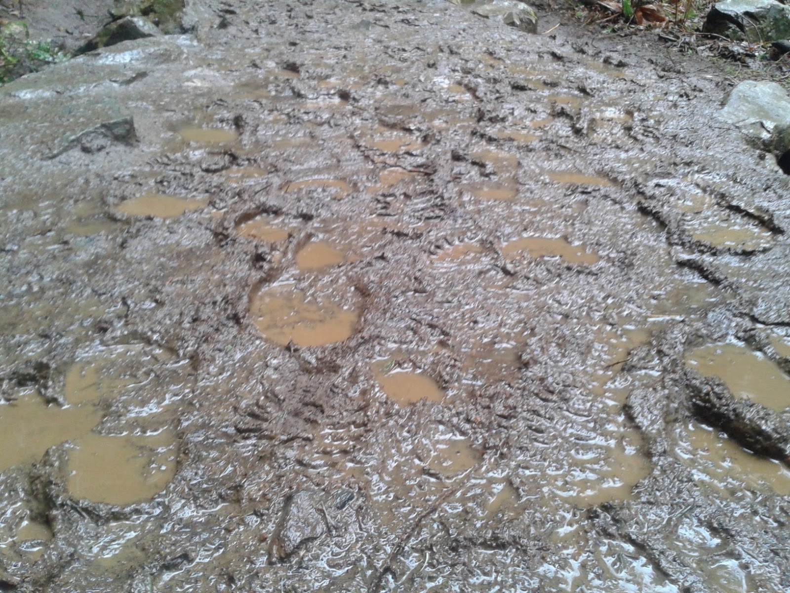 Urban Trailseeker: Hiking Trip Report: Little Si, Boulder Garden Loop