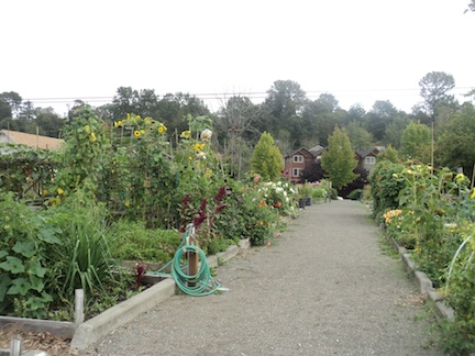 Walking Seattle Neighborhoods: North Delridge and Riverview ...