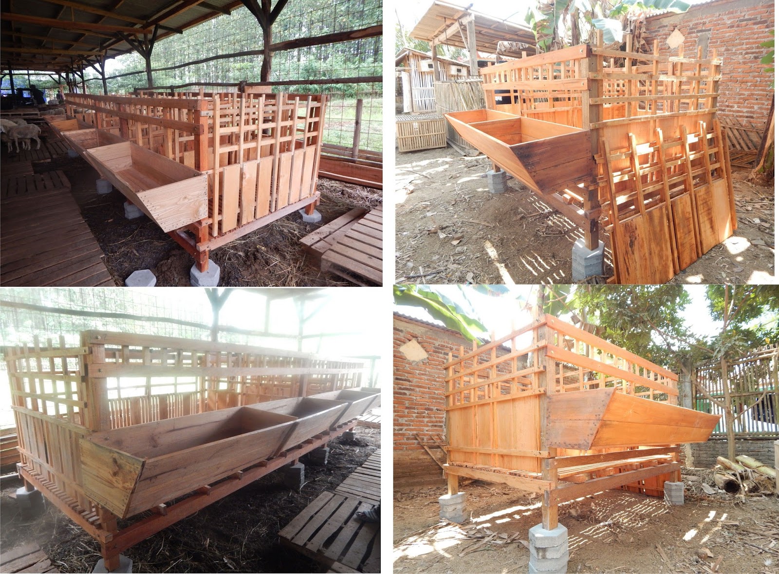 46+ Model Atap Kandang, Untuk Mempercantik Ruangan