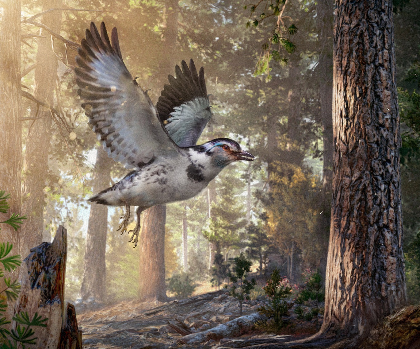 Species New to Science: [PaleoOrnithology • 2018] Jinguofortis ...