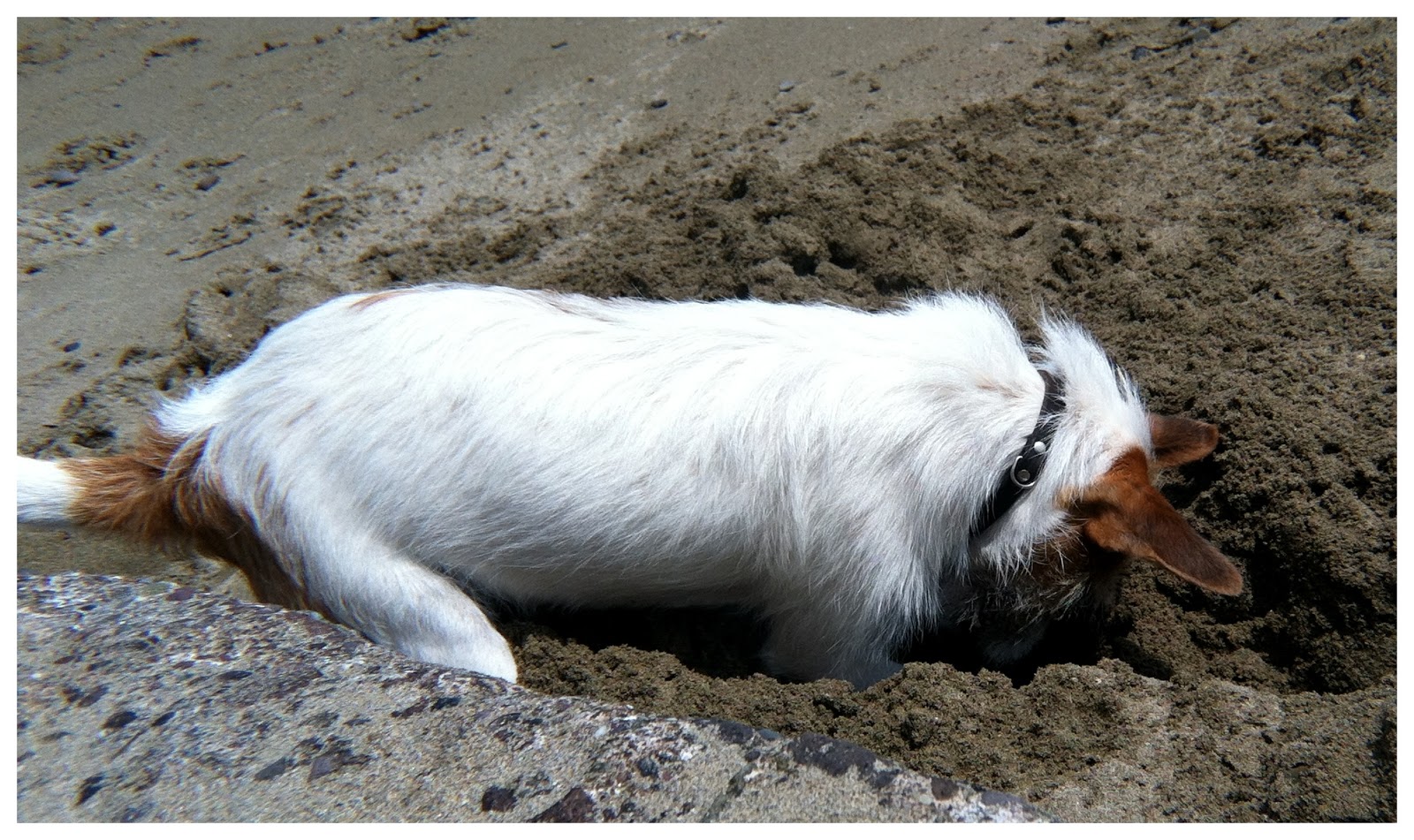 The Gallivanting Grasshopper: Of Beaches and Bars -- Cork, Ireland
