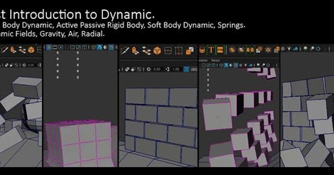 Maya Dynamic - Intro