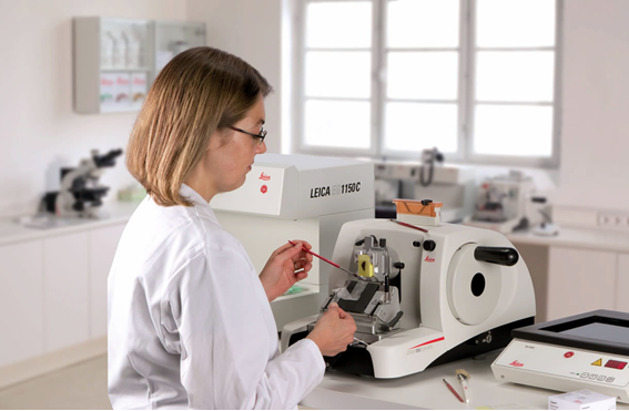 HistoScientifics: Importancia del Área de Macroscopía y el Archivo ...