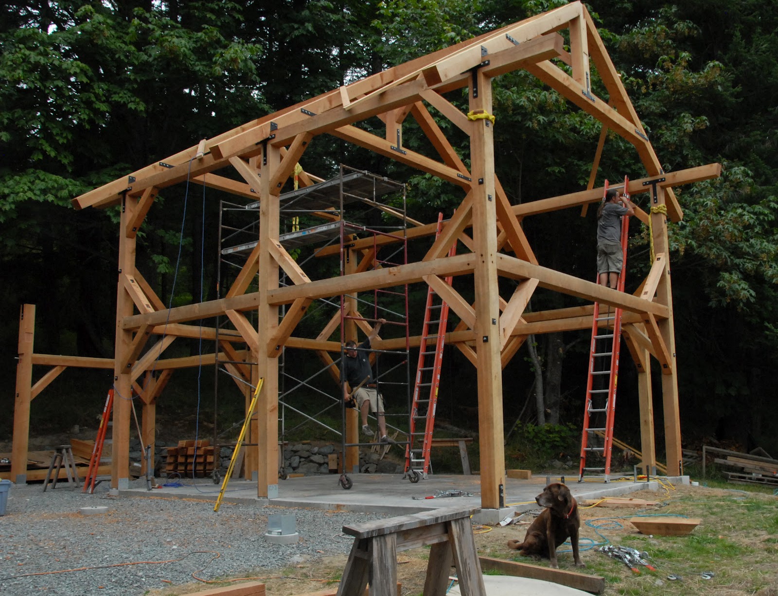 Eye On Orcas | Building a Timber Frame Homestead on Orcas Island ...