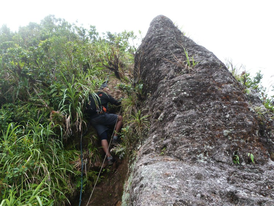 A day in the Hike: Makiling traverse via sipit trail