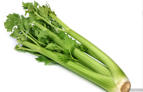 13 Khasiat Saderi Untuk Kesihatan, Baik Untuk Melindungi Jantung ...