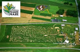 Food and Travel in NYC: The Amazing Maize Maze