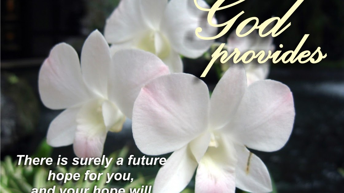 God Provides | Ric's Inspirational Verses