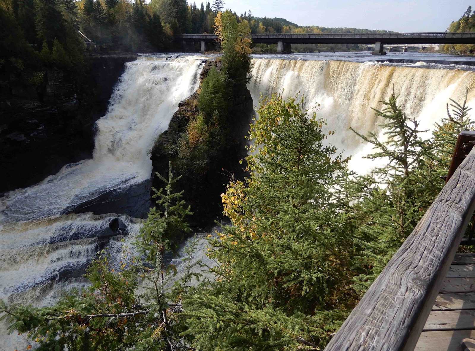 Cat Patches: Thunder Bay, Ontario, Canada
