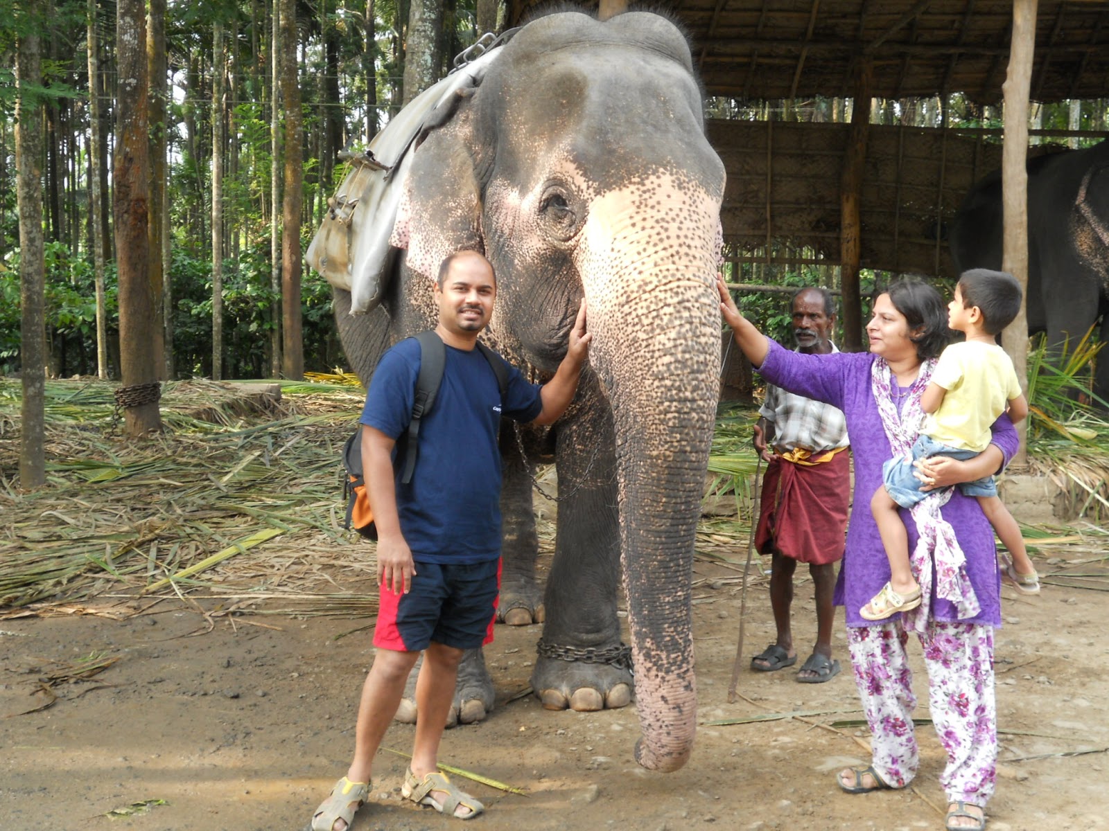 Around The World: Elephant Shower and Bath Thekady Kerala