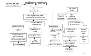 Febyana Dwi: ASKEP hipospadia / epispadia