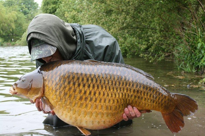 Shop News Blog:: Specimen Carp Hunting At It's Best.