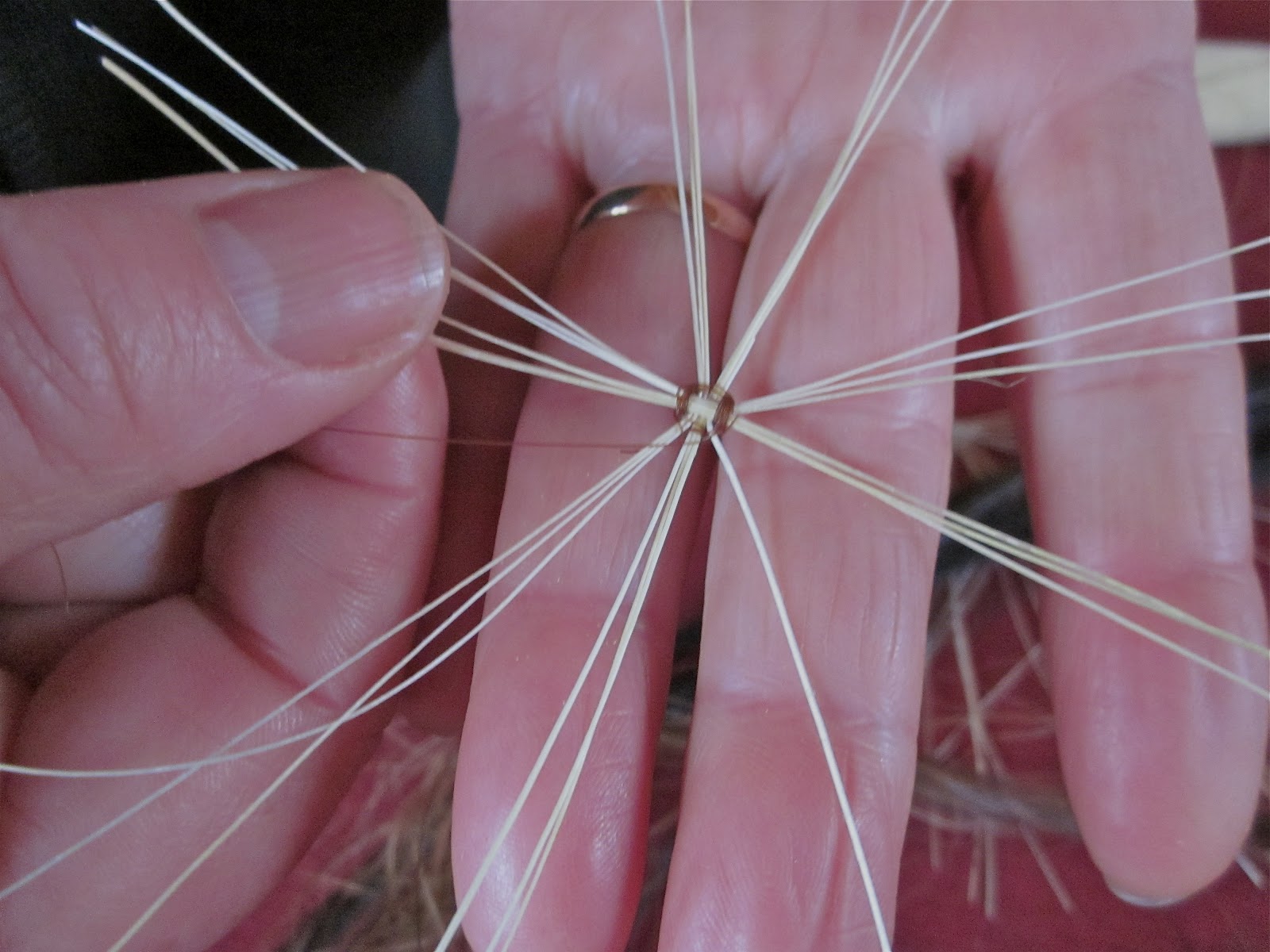 Chile Con Karen: Crin, Horsehair