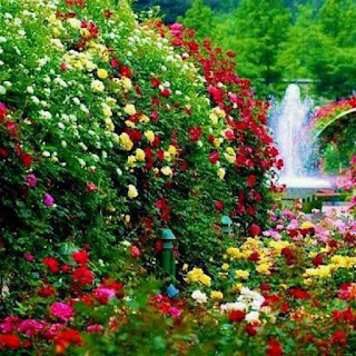 karya ku : paridah ishak: TAMAN SYURGA..