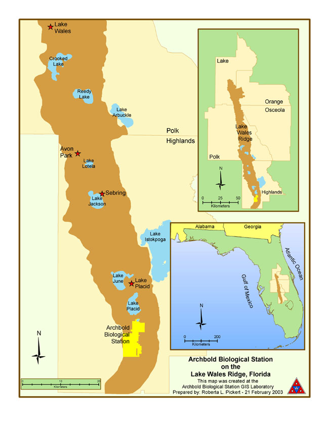 Field Notes: Life in the Scrub